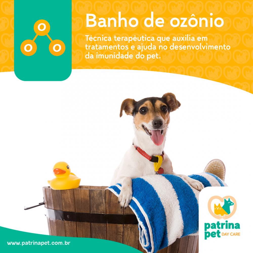 Ozonioterapia em cães e gatos - Patrina Pet